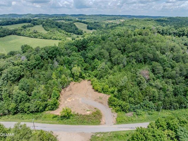 Fowlers Grove Rd, Newport, TN 37821