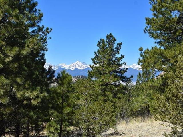 Foxtail Rd, Westcliffe, CO 81252