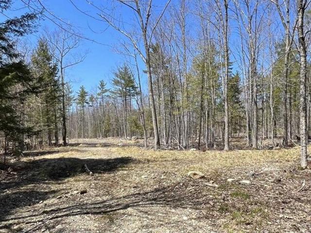 Foxtrot Rd Lot,farmington, Plot For Sale