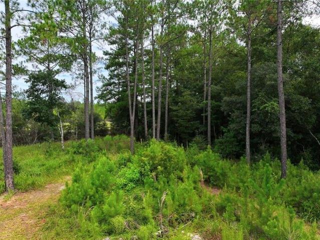 Foxtrap Rd, Saraland, AL 36571