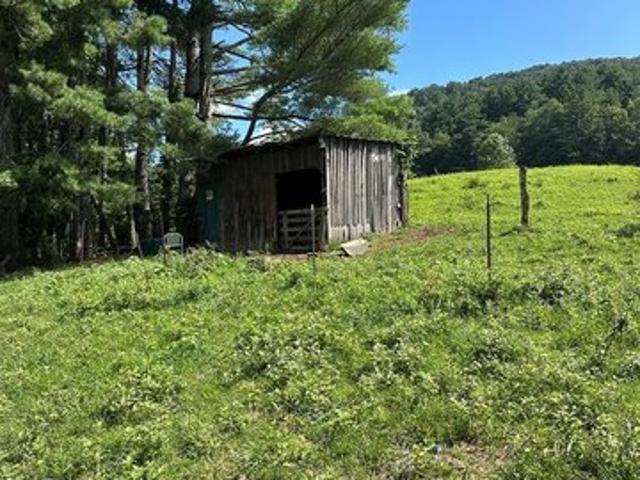 Fox Creek Rd Lot 0, Mouth Of Wilson, VA 24363