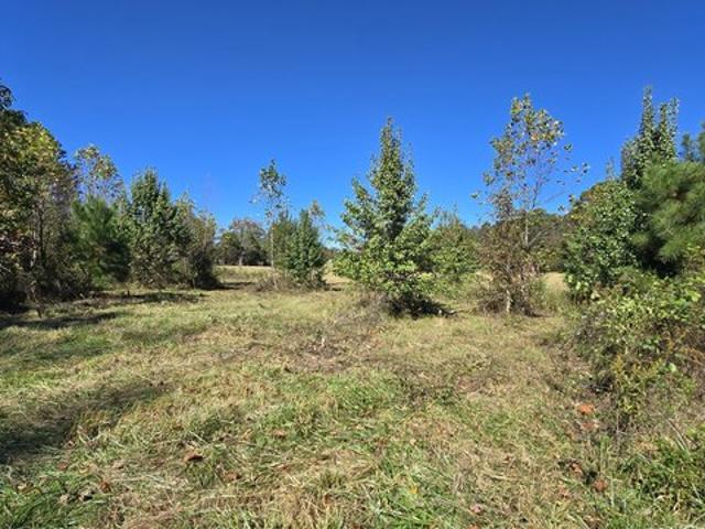 Fox Bridge Rd, Chatsworth, GA 30705
