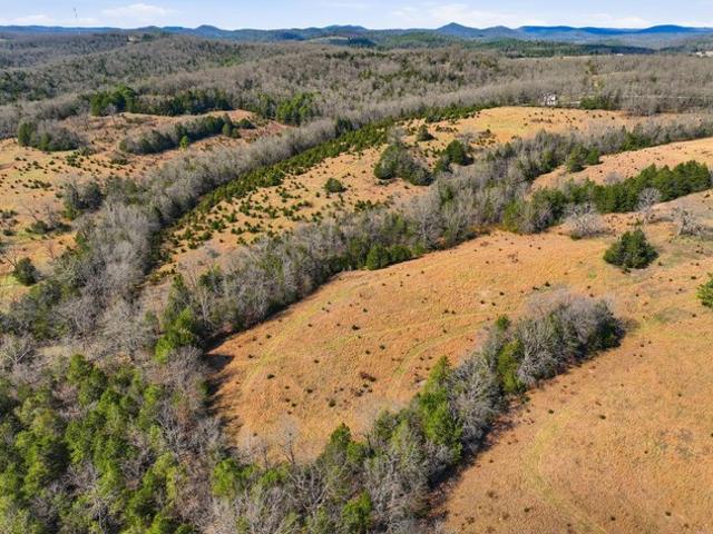 Fox Den Lane St Lot 2, Gainesville, MO 65655