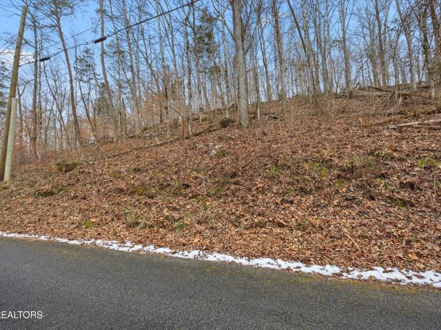 Fox Hollow Lane, Andersonville, TN 37705