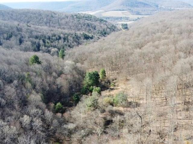 Fox Hollow Rd, Roulette, Plot For Sale