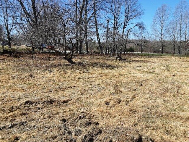 Fox Hill Rd, Athens, Home For Sale