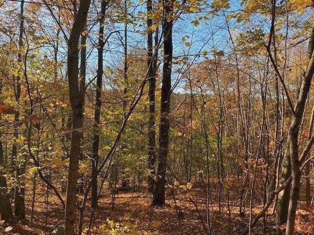 Fox Hill Rd, Bernardston, Plot For Sale