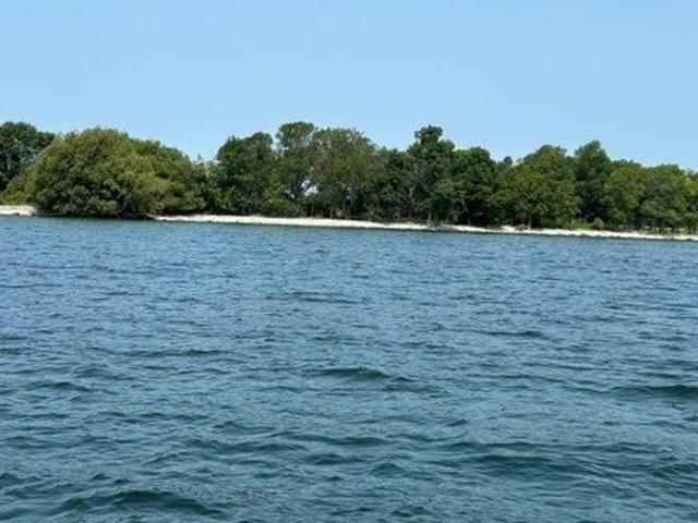Fox Is Grenadier, Cape Vincent, NY 13618
