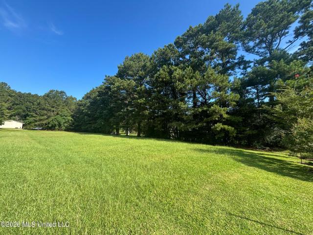 Fox Loop Drive, McComb, MS 39648