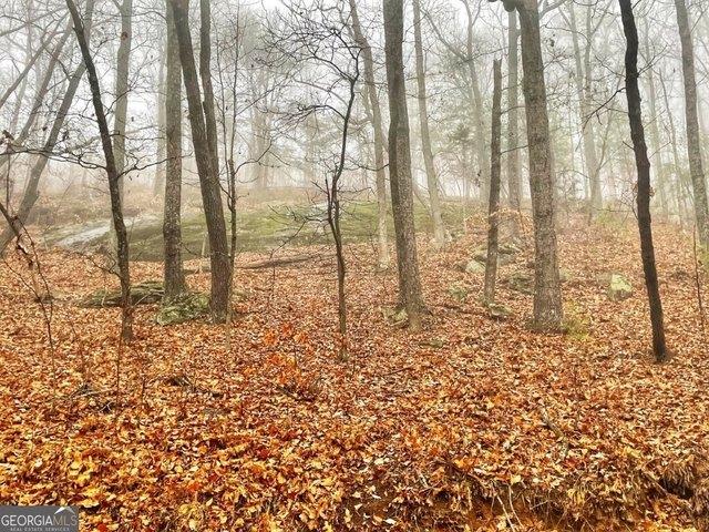 Fox Mountain Rd, Hiddenite, NC 28363