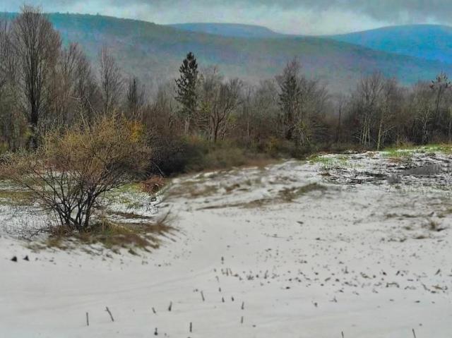 Fox Meadow Ln, Margaretville, NY 12455 | Compass