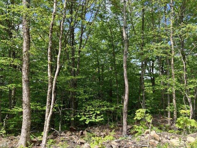 Fox Mt Rd Lot Chm, Wilmington, Plot For Sale