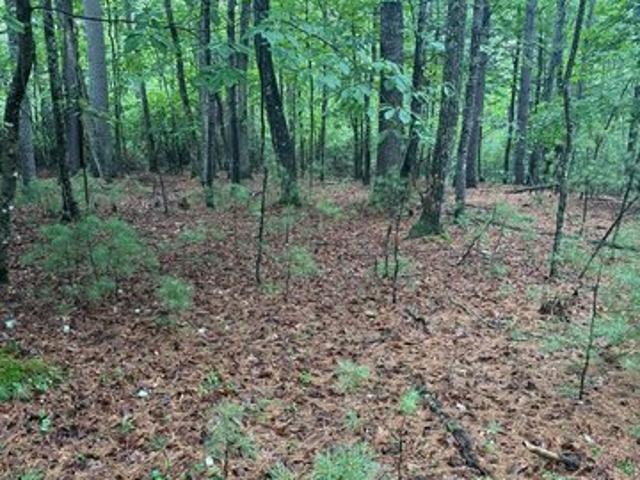 Fox Spring Ln Lot 28, Galax, VA 24333