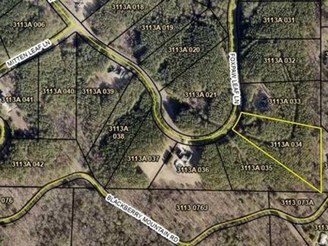 Fox Paw Leaf Ln Lot 34, Ellijay, GA 30540