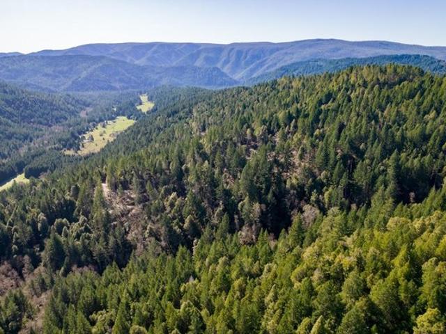 Fox Ridge Rd, Crescent City, CA 95531