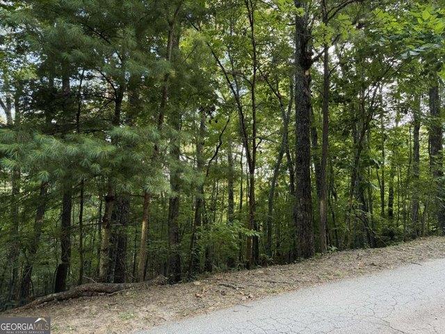 Fox Run Dr Lot 46, Blue Ridge, GA 30513
