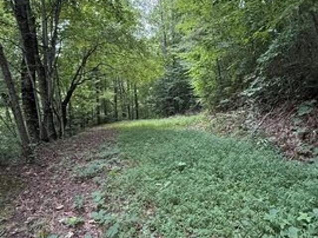 Fox Run Rdg Lot 73, Bryson City, NC 28713