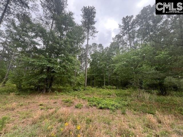 Fox Young Rd, Wagener, SC 29164