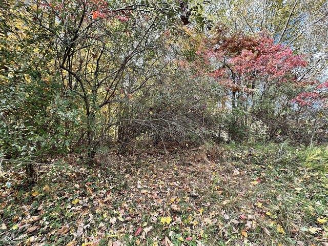 Foxcliff Dr SE, Martinsville, IN 46151