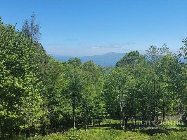 Foxfire Dr, Banner Elk, NC 28604