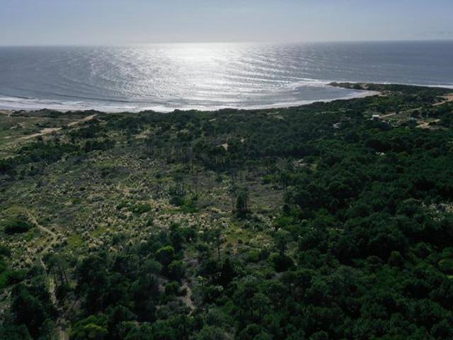 FL 33382