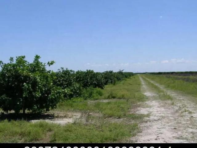 FL FL LS102715802