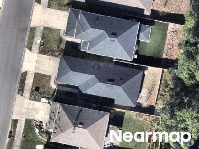 Flowering Peach Ct