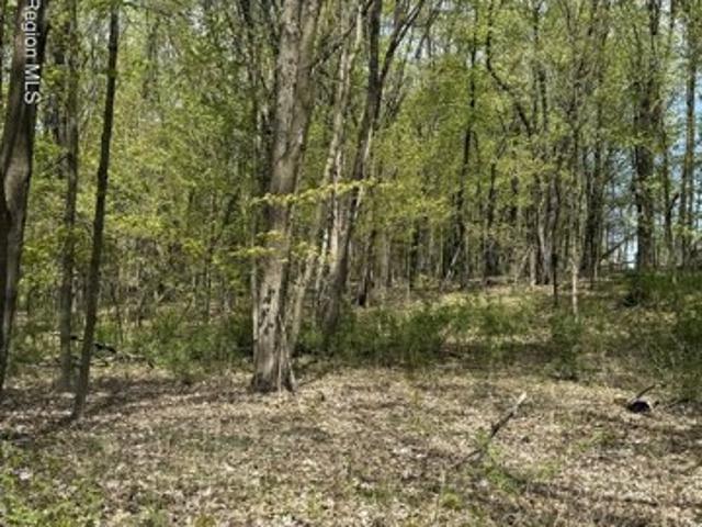 Floyd Ackert Rd, West Park, Plot For Sale