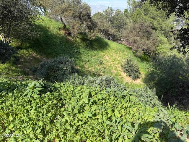 Flora Morgan Trail, Tujunga, CA 91042 | MLS #226000 VC