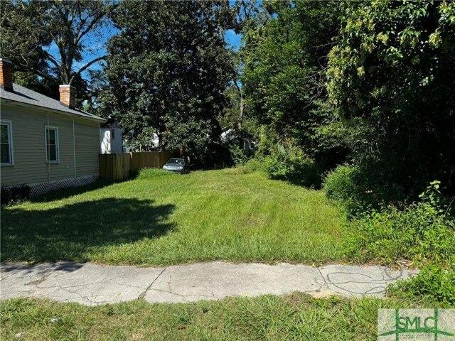 Florance St Lot,savannah, Plot For Sale
