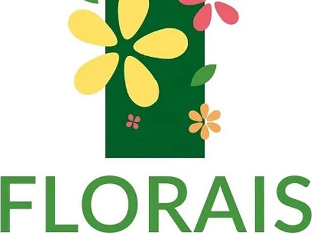Florais cuiaba lote excelente