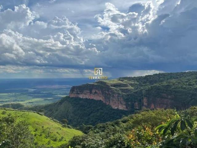 Florais Chapada Florais Chapada