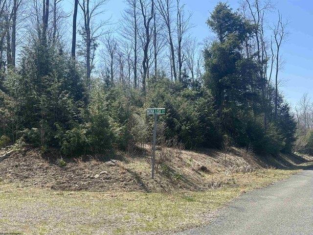 Florence Ct Lot 193, Davis, WV 26260