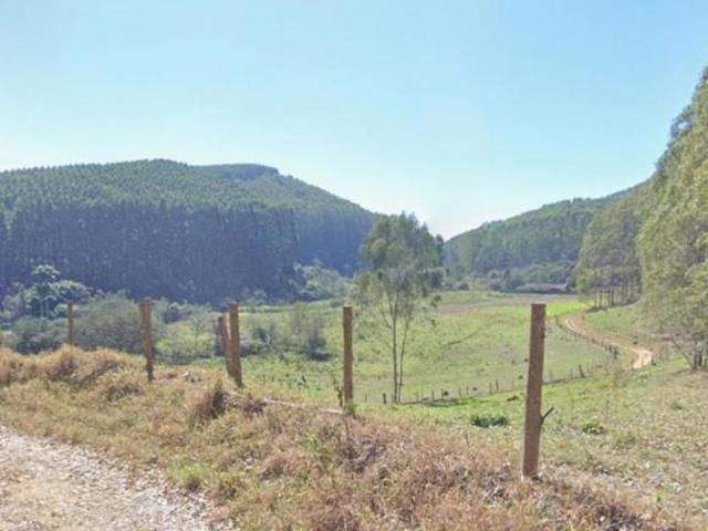 FLORESTA DE EUCALIPTO A VENDA EM PARAÍBUNA NA REGIÃO DO VALE DO PARAÍBA* ? ÁREA TOTAL COM EUCALI