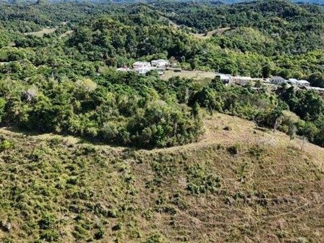 Florida MA 00650 101897510