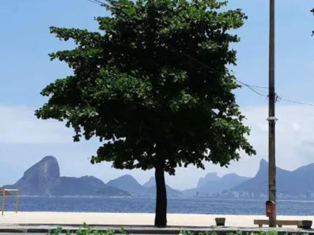 Flat com 1 Quarto e 1 banheiro à Venda, 30 m² por R$ 348.000