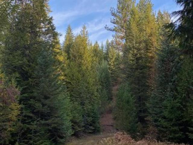 Flat Creek Rd Lots 2 & 3, Saint Maries, ID 83861