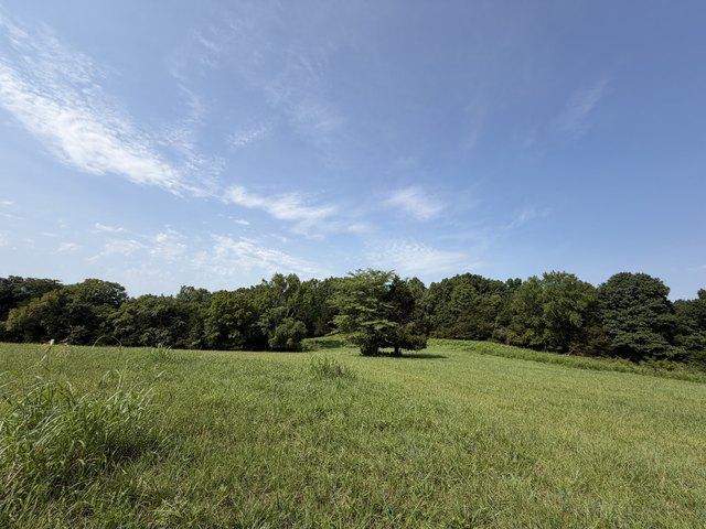 Flat Creek Rd, Spring Hill, TN 37174