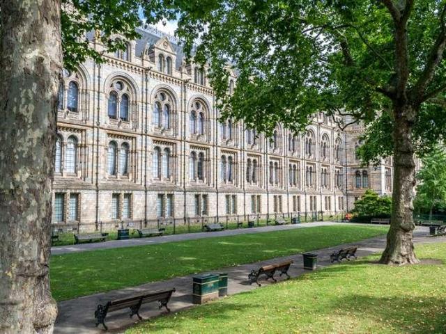 flat for sale
