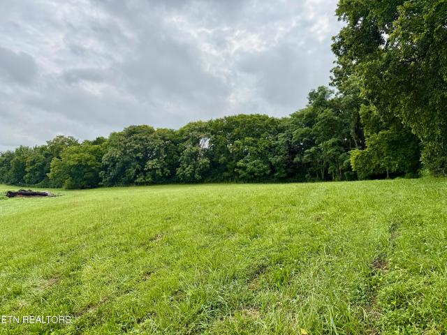 Flat Gap Rd, Jefferson City, TN 37760