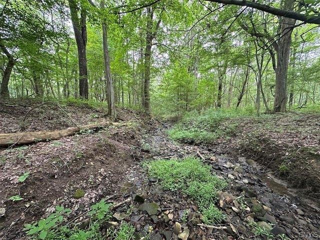 Flat Iron Rd, Hunt, NY 14846