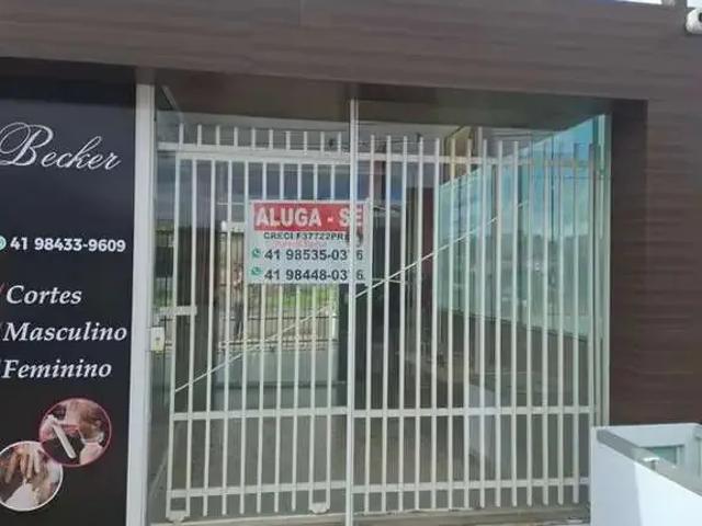 Flat para Locação em Campina Grande do Sul/PR Jardim Paulista 1 Quartos