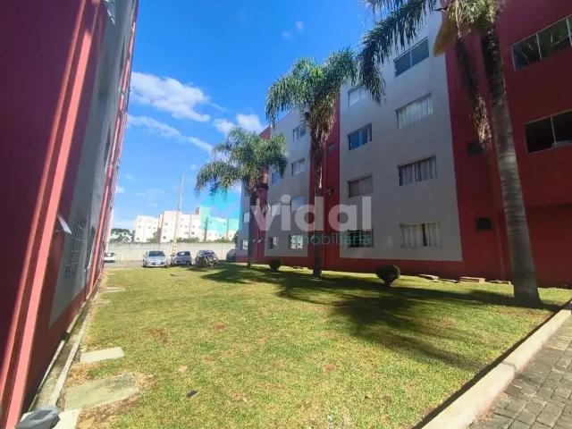 Flat para Locação em Ponta Grossa/PR Uvaranas 1 Quartos