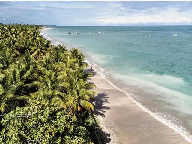 Flat para Venda em São Miguel dos Milagres/AL Praia do toque
