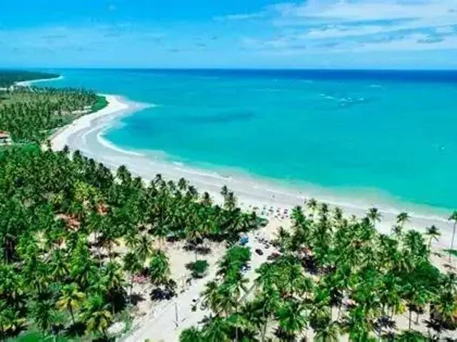 Flat para Venda em São Miguel dos Milagres/AL Praia do toque 1 Quartos