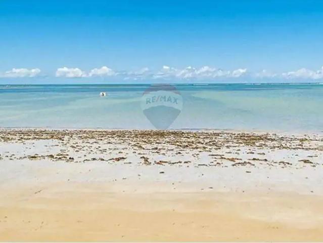 Flat para Venda em Tamandaré/PE Centro 1 Quartos