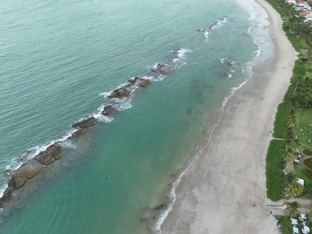 Flat para Venda em Tamandaré/PE Praia Dos Carneiros 1 Quartos