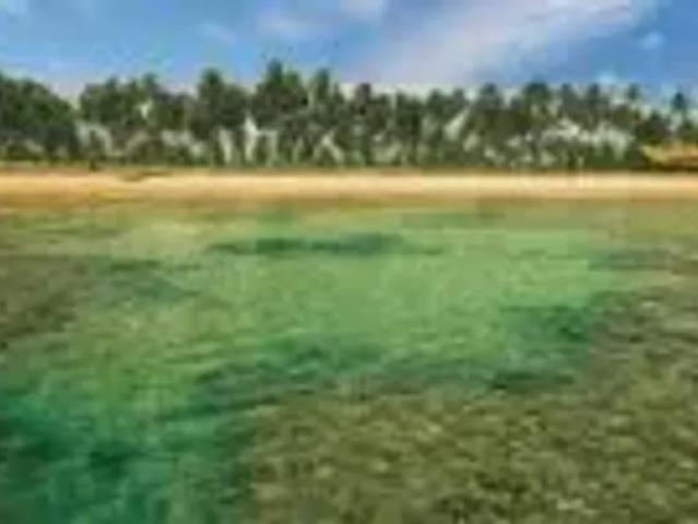 Flat pé na areia em Tamandaré
