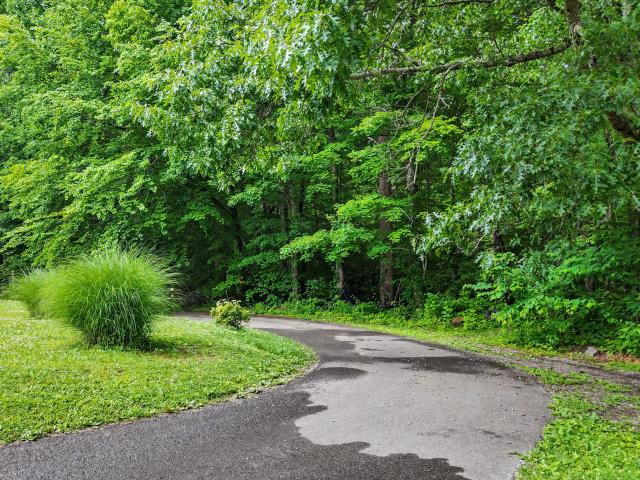 Flat Rd, Cosby, TN 37722