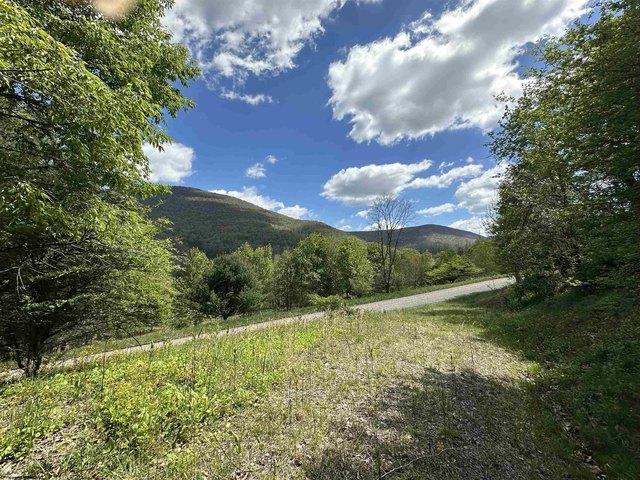Flat Rock Run Lot 2, Dryfork, WV 26263